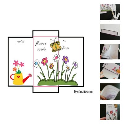 Seed Packet Template Free Printable for Gardeners & Seed Saving