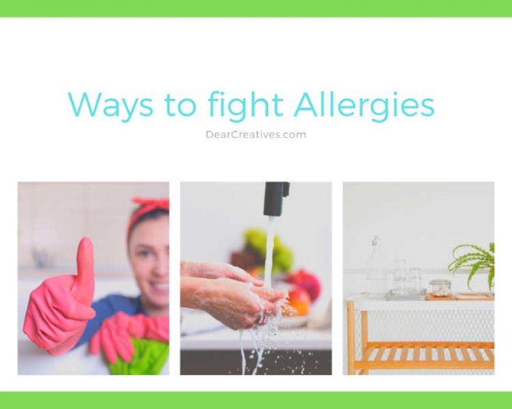 Don't Let Your Allergies Take The Wheel Dear Creatives