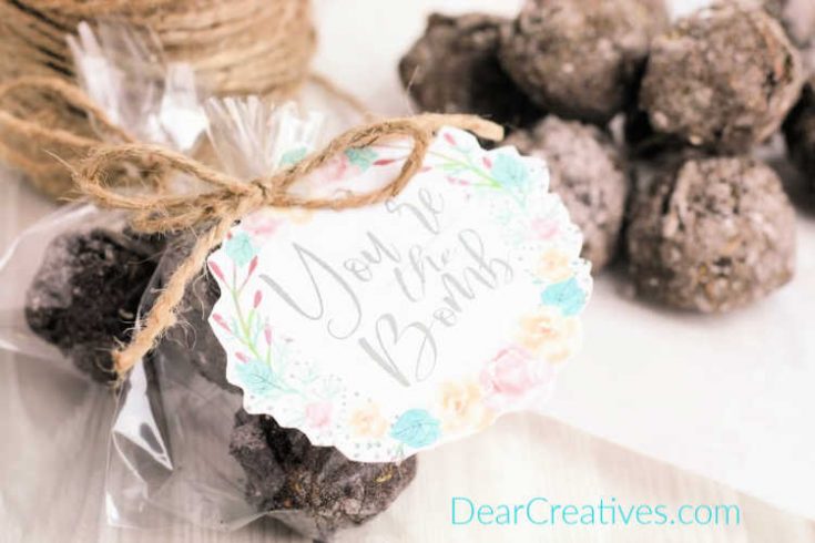 How To Make Seed Bombs + Free Printable Gift Tag Dear Creatives