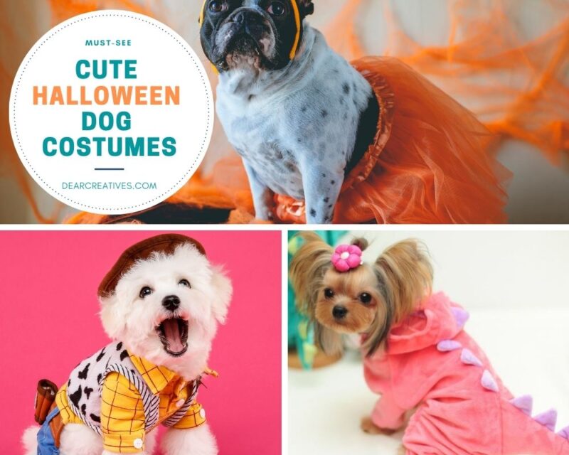 Halloween Dog Costumes You & Your Dogs Will Love! Dear Creatives