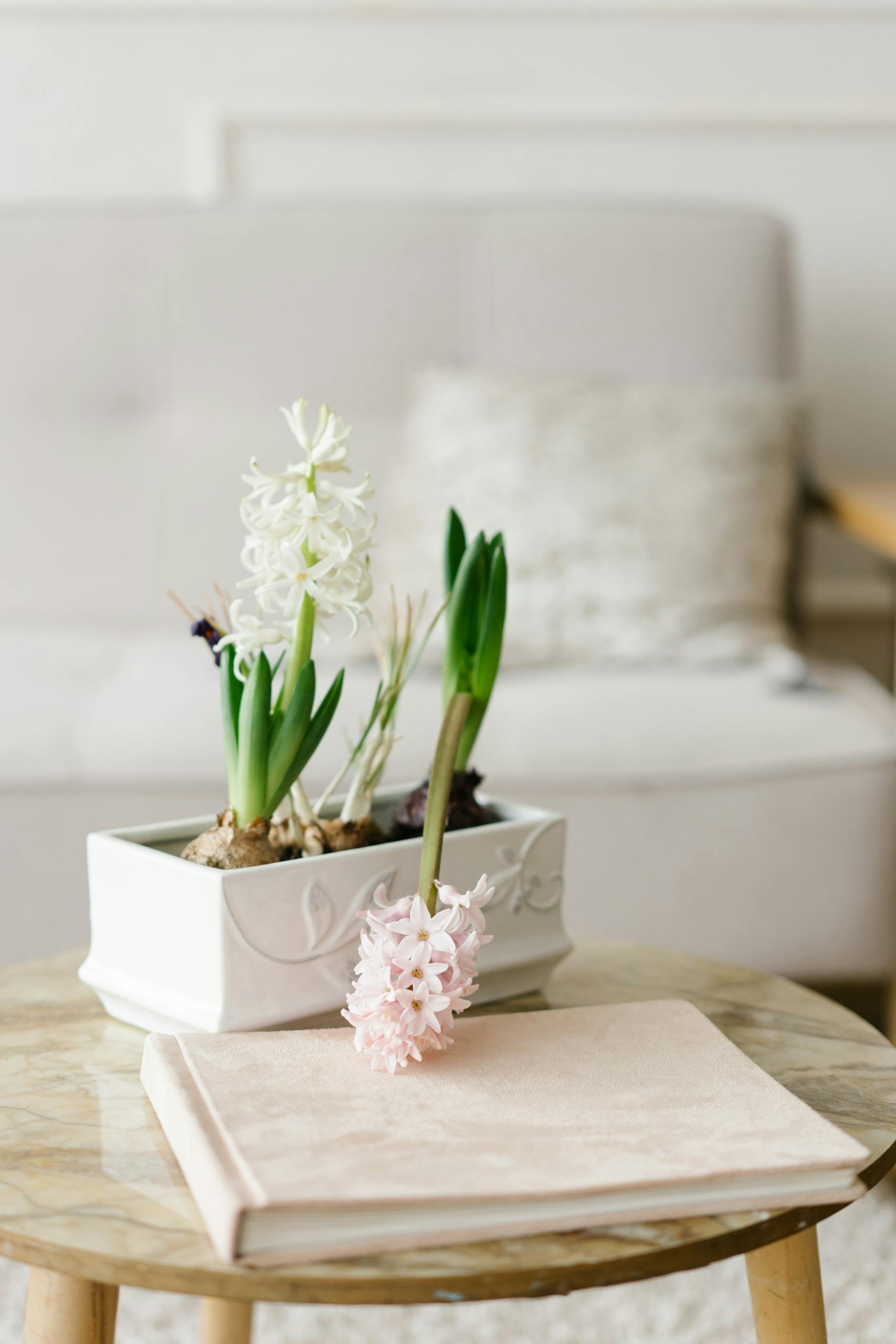 Decorate For Spring: Spring Refresh Easy & Stylish Dear Creatives